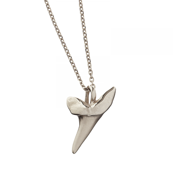 Sharks Tooth Pendant Small | manon jewelry